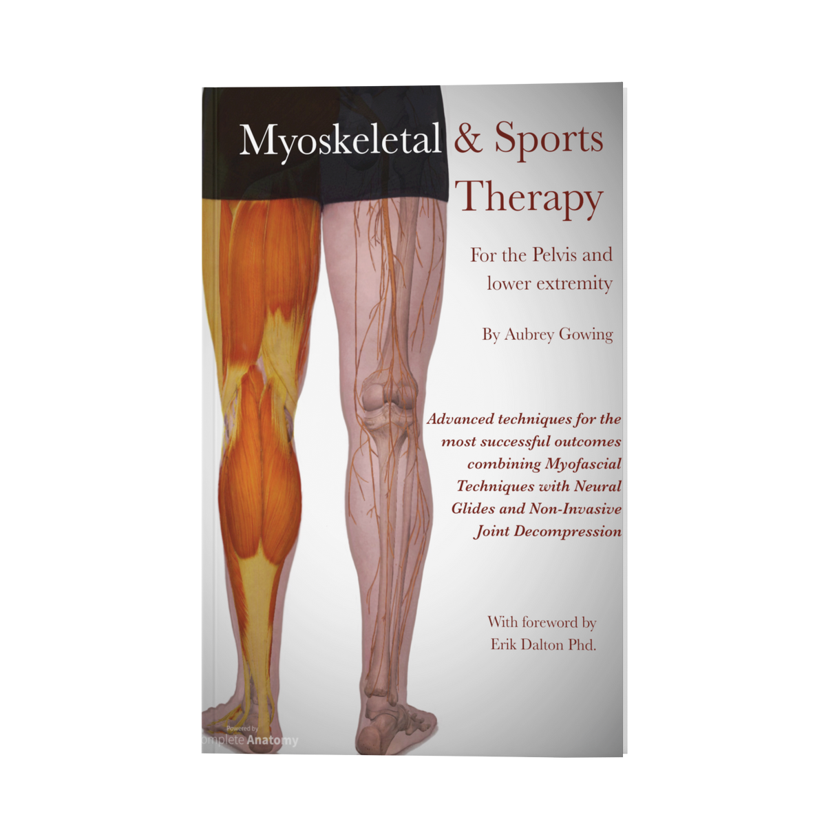 Myoskeletal & Sports Therapy Book 1 for Pelvis & Lower Body by Aubrey ...