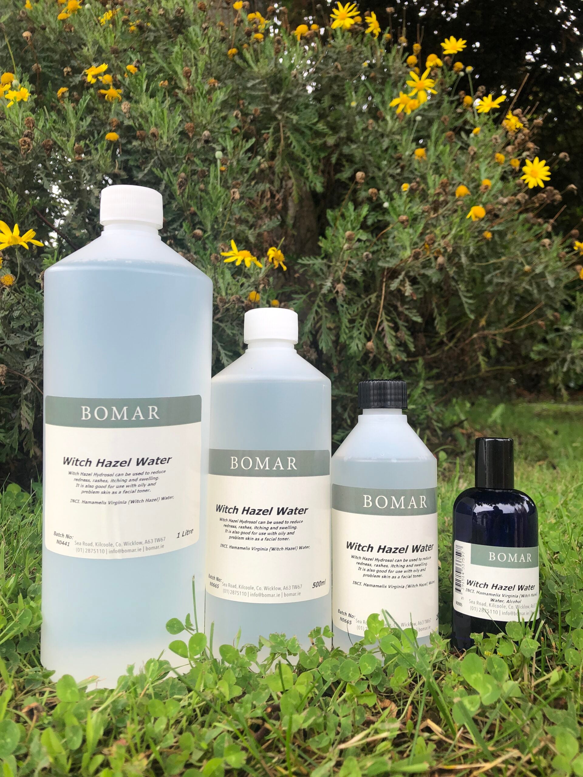 Witch Hazel Water - Bomar Aromatherapy