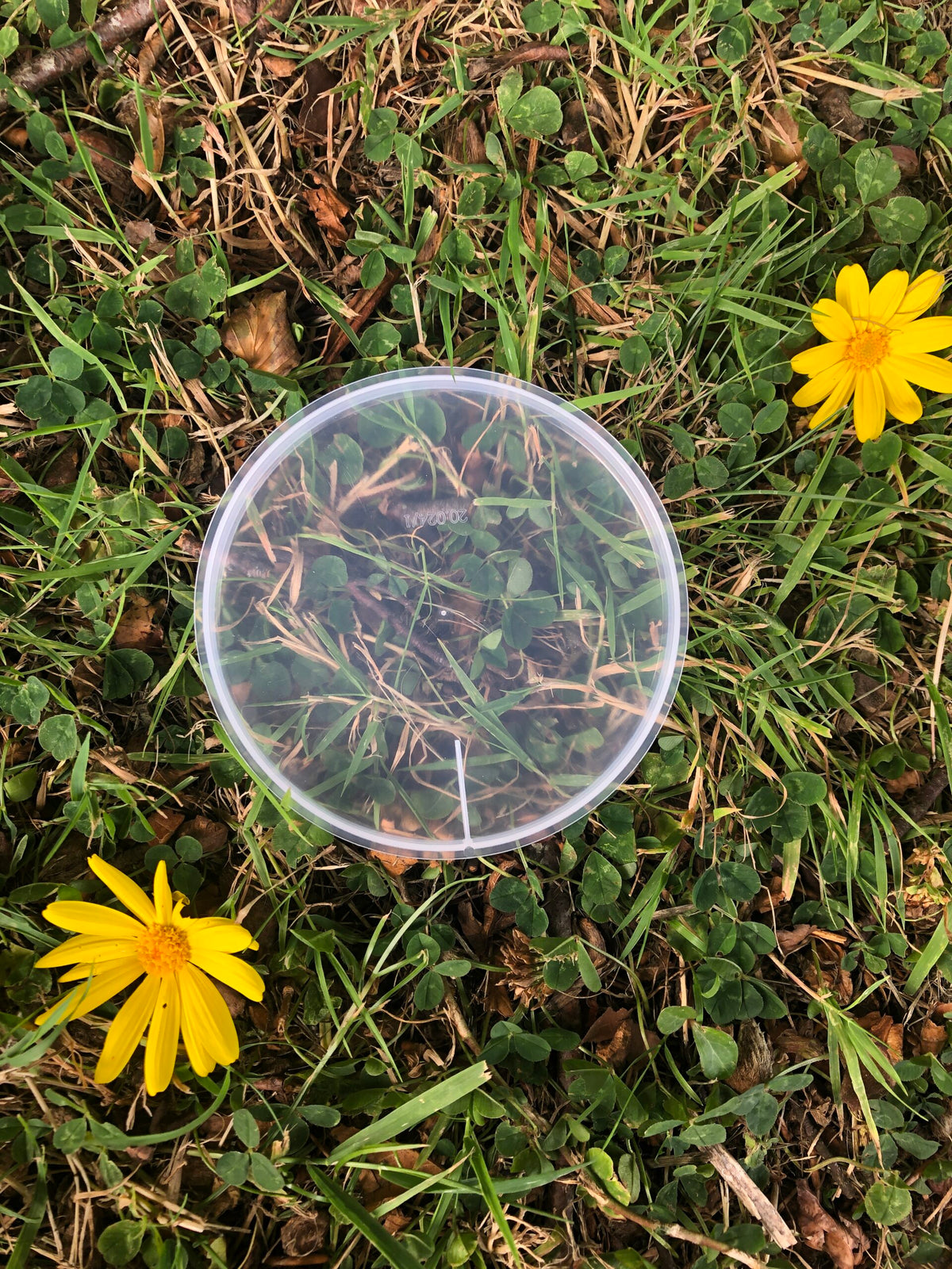 90mm Shive for Clear Plastic (PET) Jars - Bomar Aromatherapy