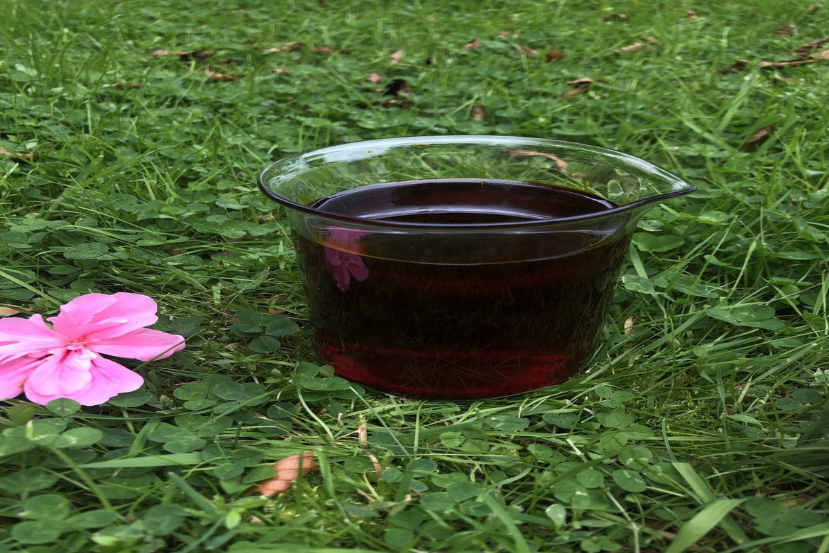 Seabuckthorn Fruit Pulp Oil (Cold Pressed) — Bomar Aromatherapy