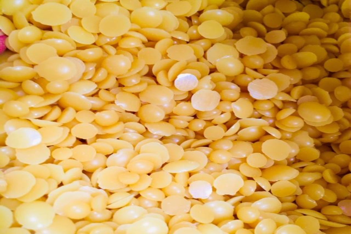 Candelilla Wax (Light refined) - Bomar Aromatherapy