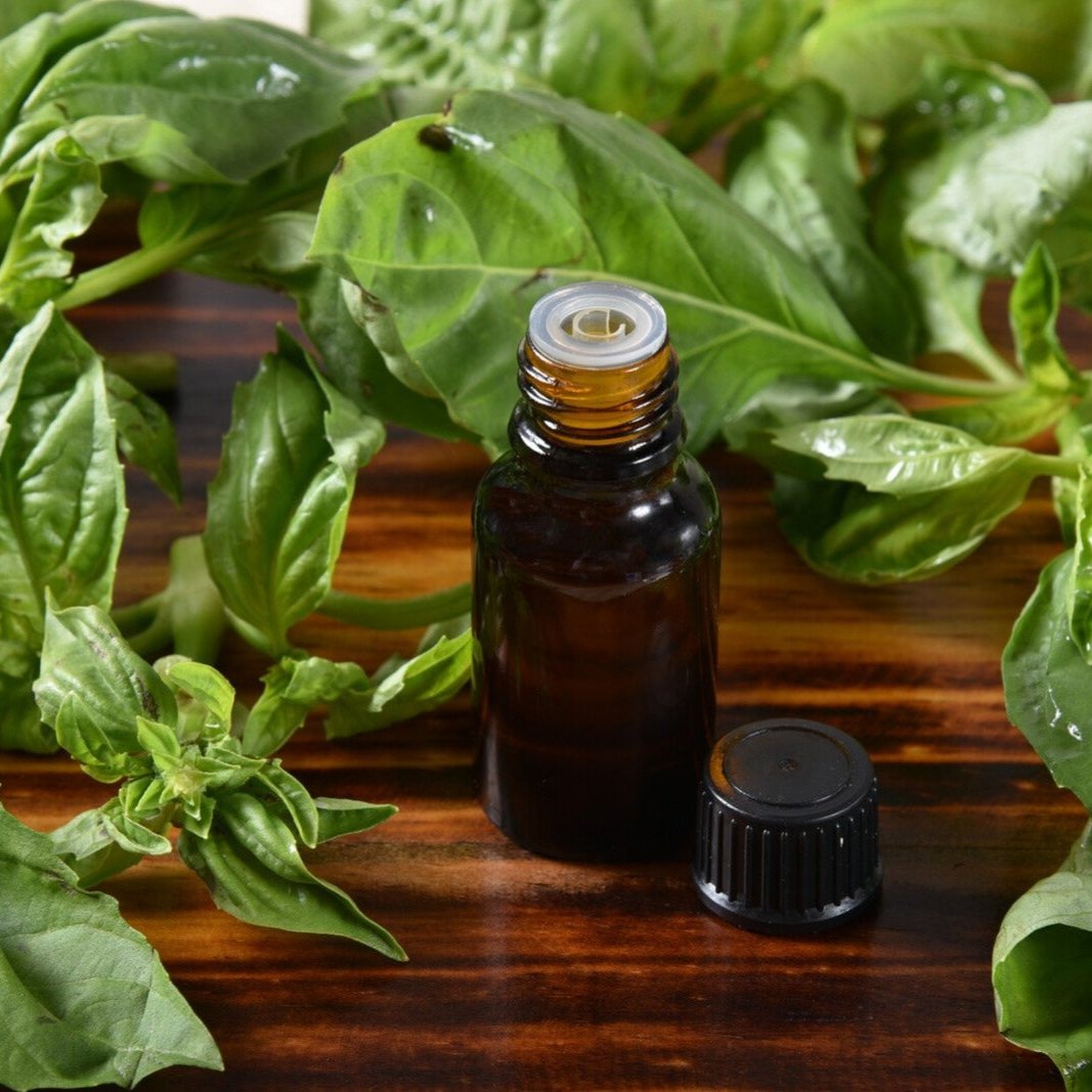 Basil Oil - Bomar Aromatherapy