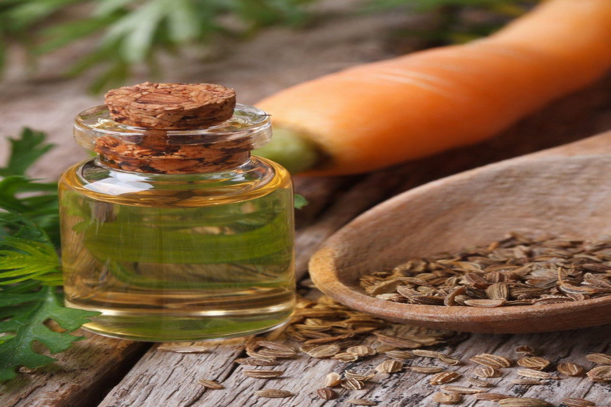 Carotene, infused in sunflower Oil (Carrot Carrier oil) - Bomar ...